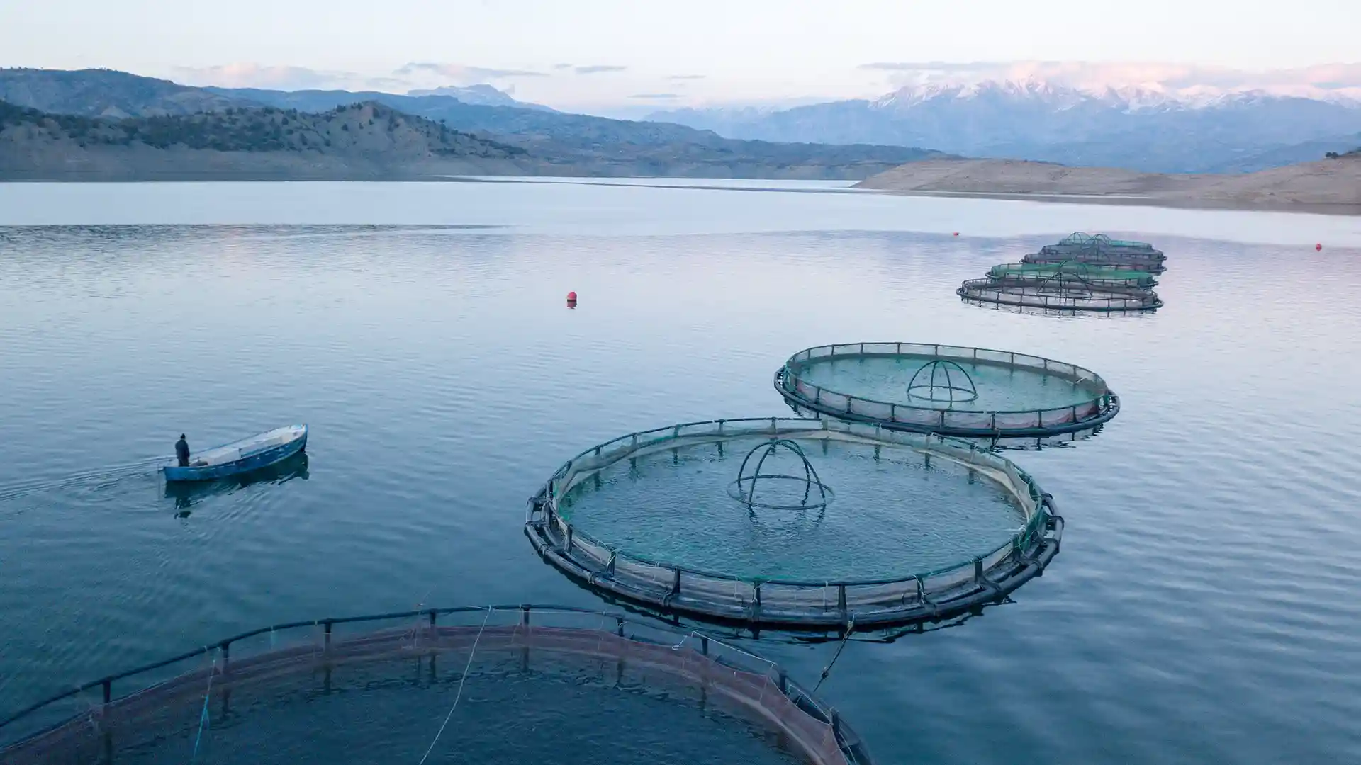Nano Bubble Technology | Water Treatment Solutions